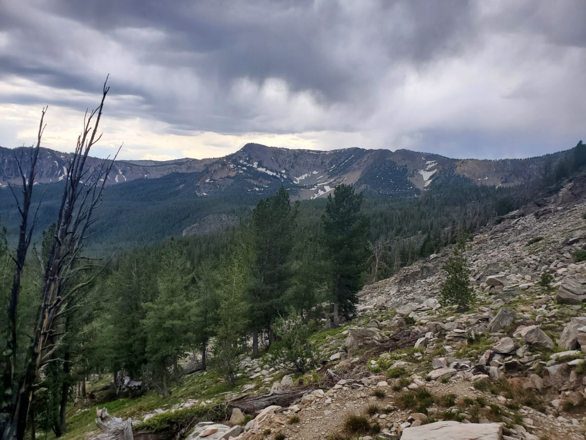 CDT Montana, Day 4 to 6, July 12-14 – Roger Carpenter – Greg In Wild