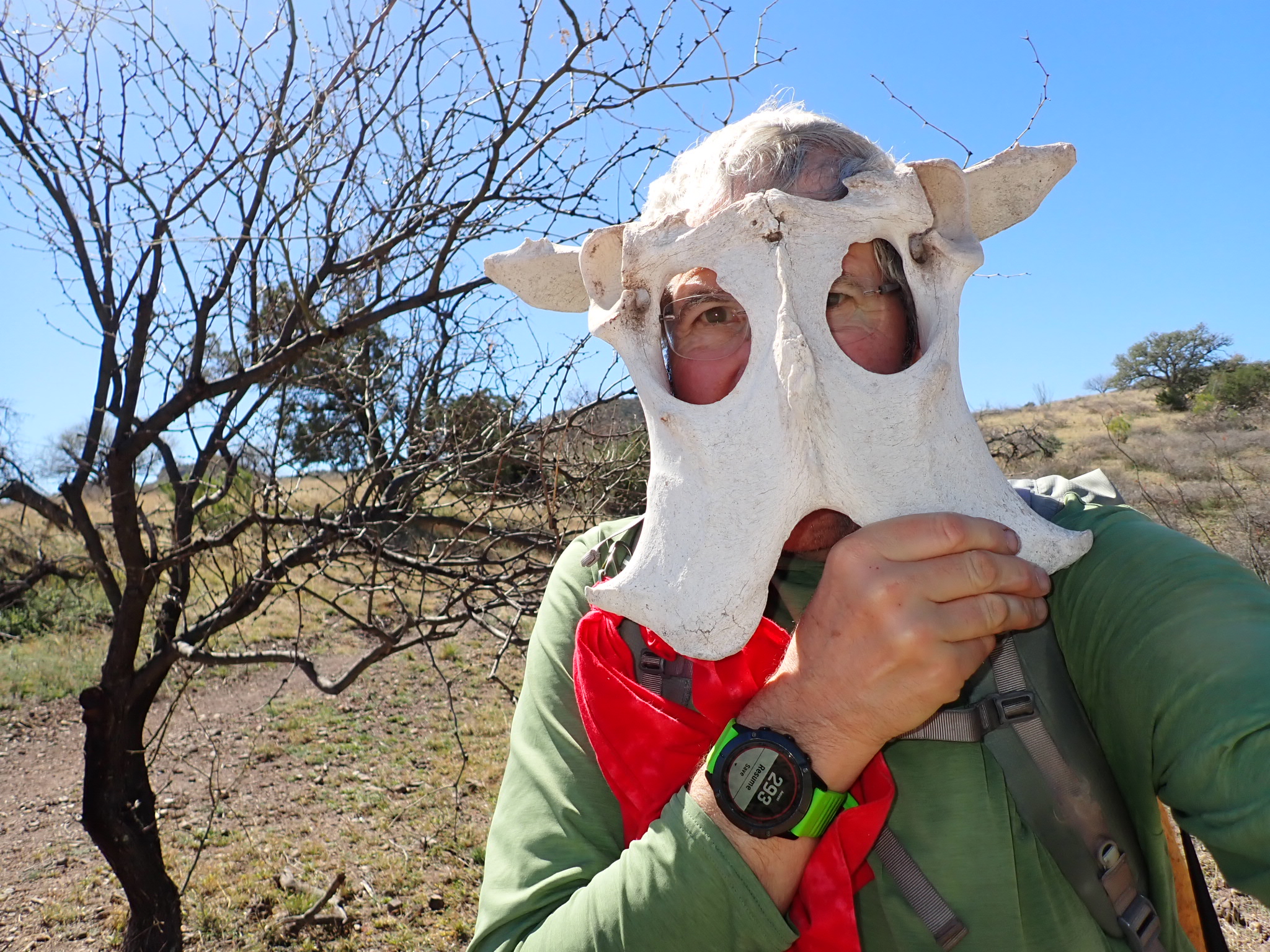 Arizona Trail Days 7 to 10, March 11-14 – Roger Carpenter – Greg In Wild