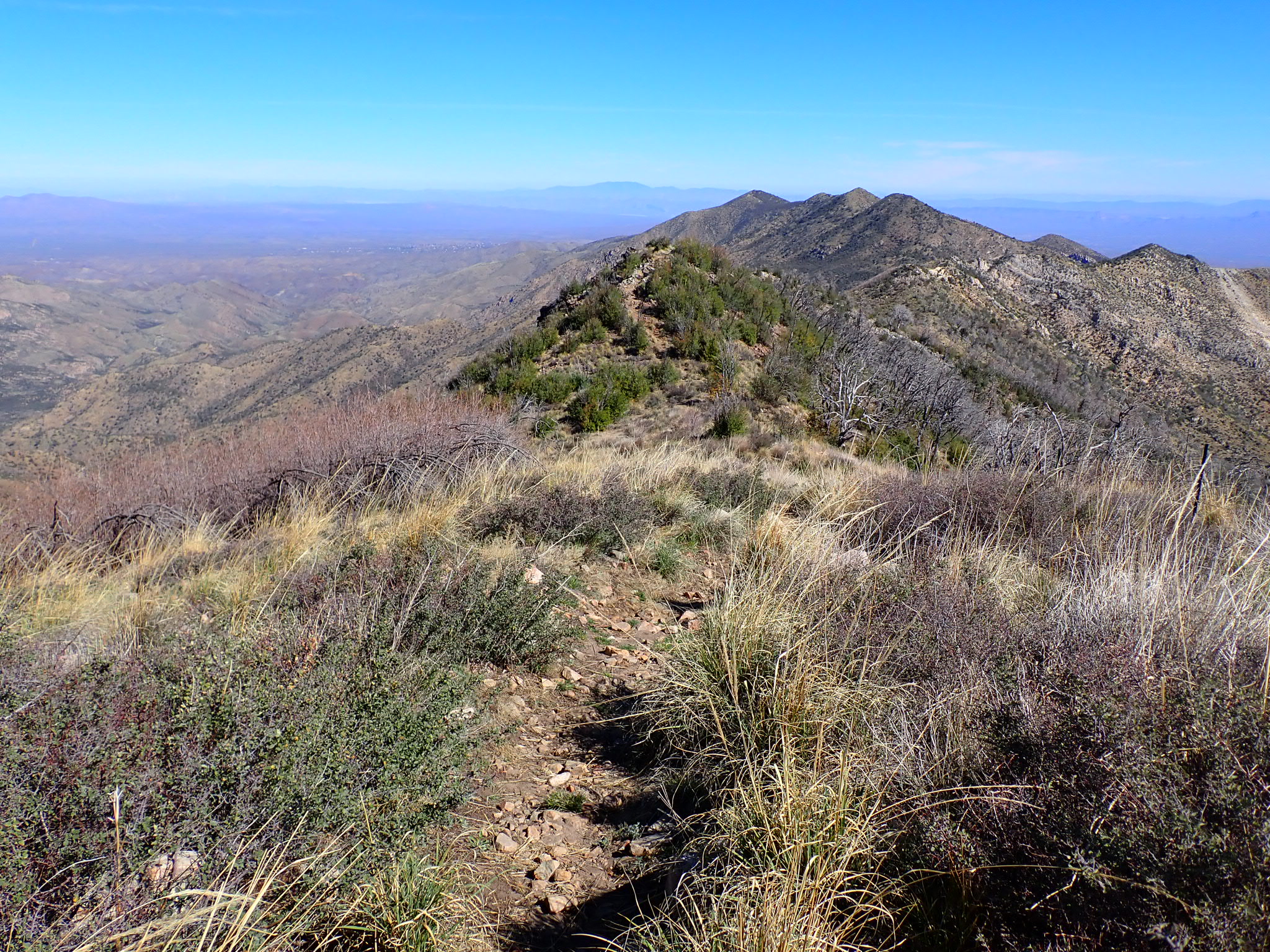 Arizona Trail, Days 19 to 20, March 23-24 – Roger Carpenter – Greg In Wild