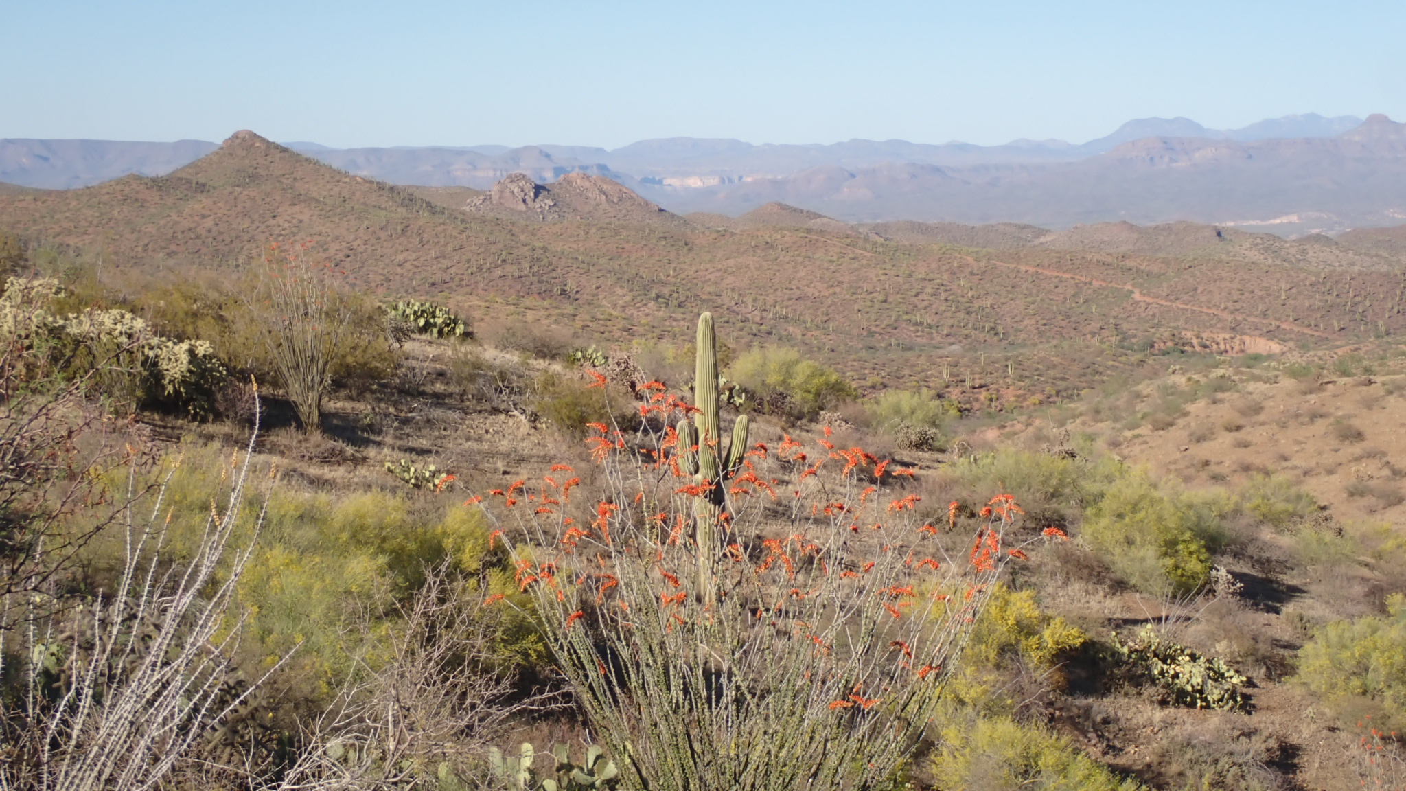 Arizona Trail, Days 22 to 25, March 26-29 – Roger Carpenter – Greg In Wild